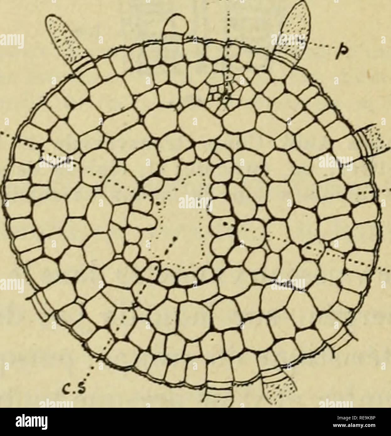 Structure granuleuse hi-res stock photography and images - Alamy