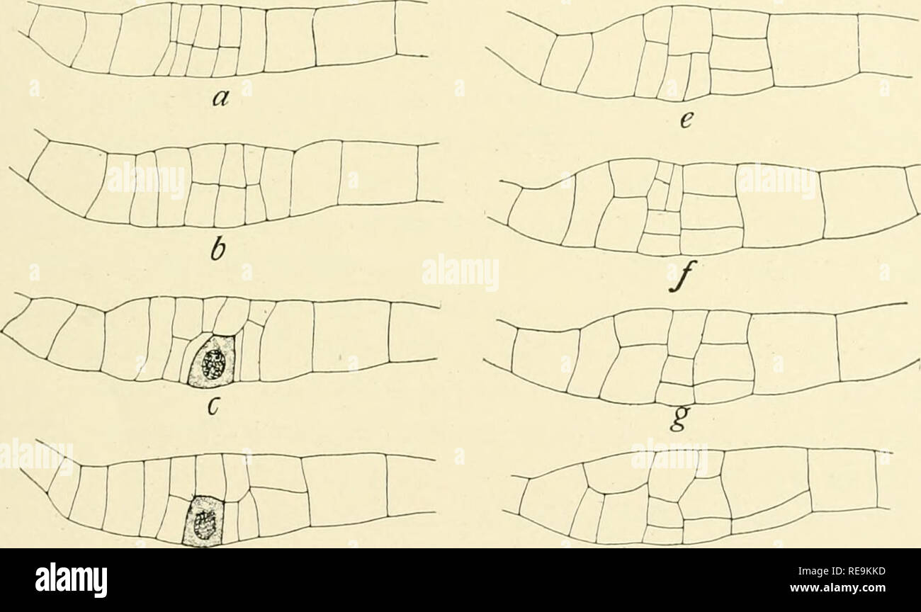 Accompanying sections illustrate hi-res stock photography and images ...