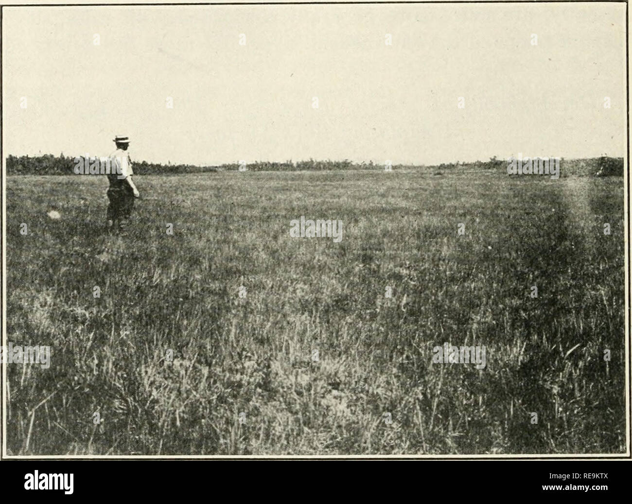 Trough bog hi-res stock photography and images - Alamy