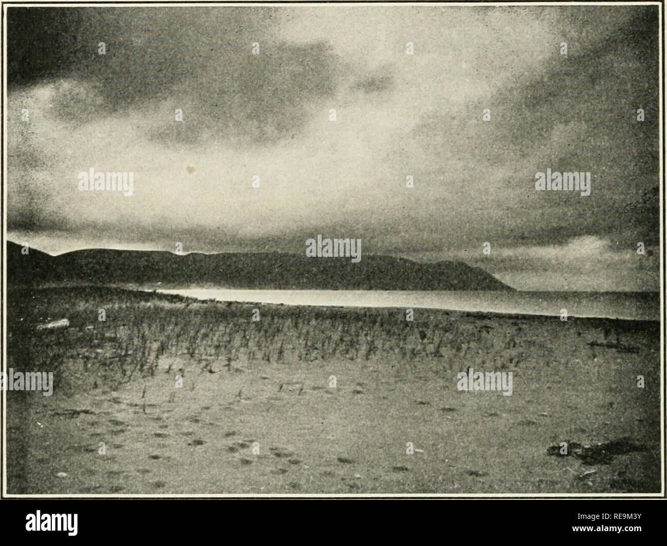 Aspy bay hi-res stock photography and images - Alamy