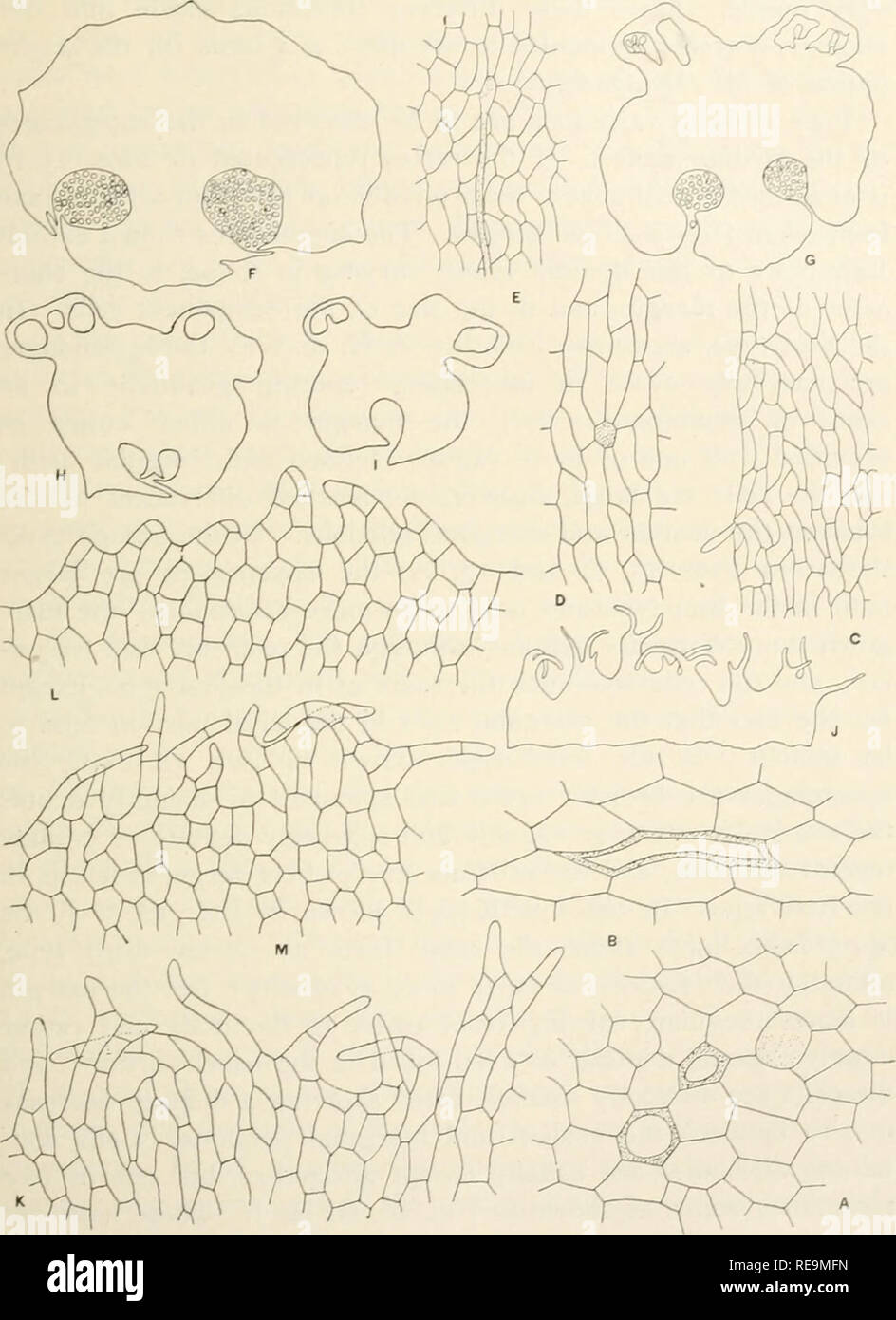 . Contributions from the Osborn Botanical Laboratory. Plants. American ...