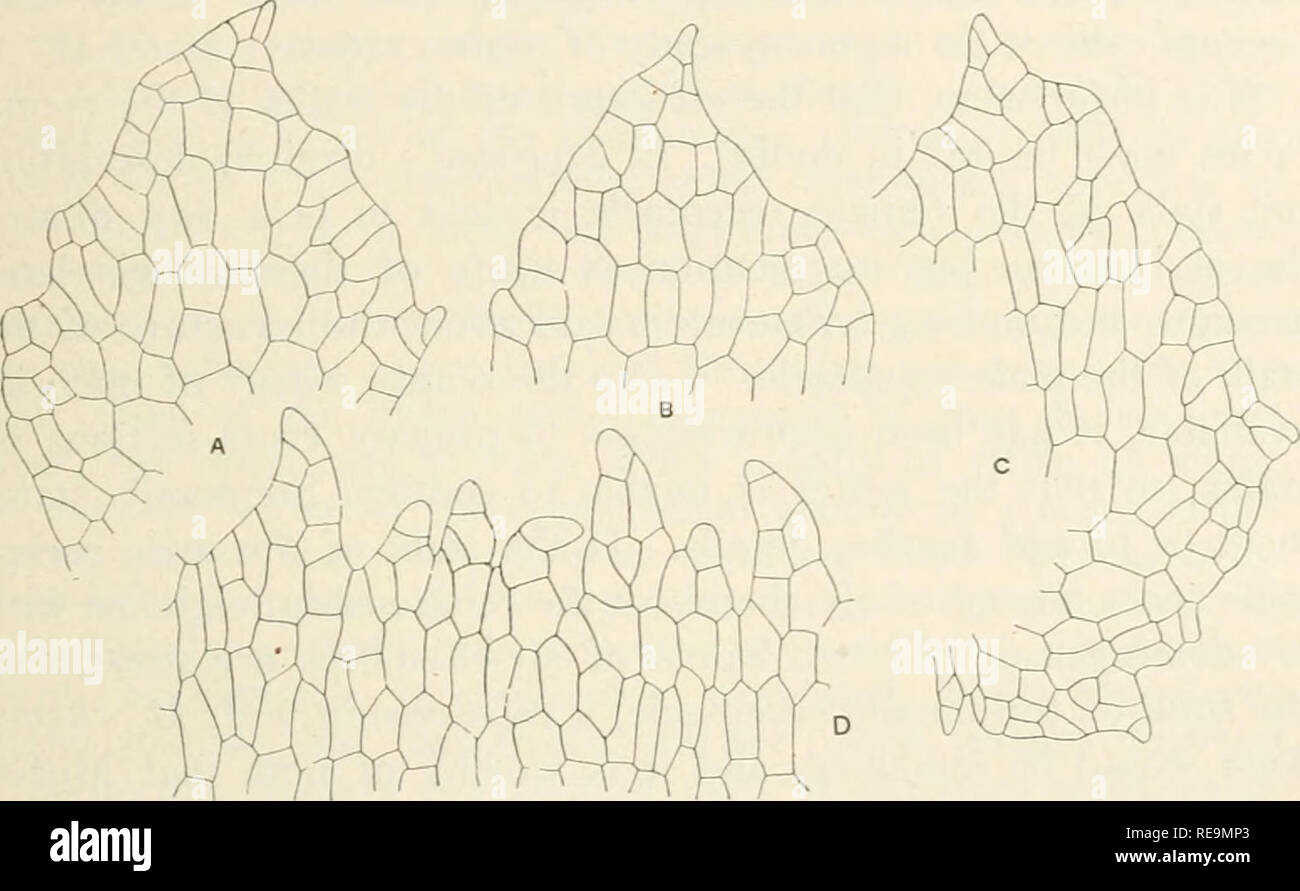 . Contributions from the Osborn Botanical Laboratory. Plants. American ...