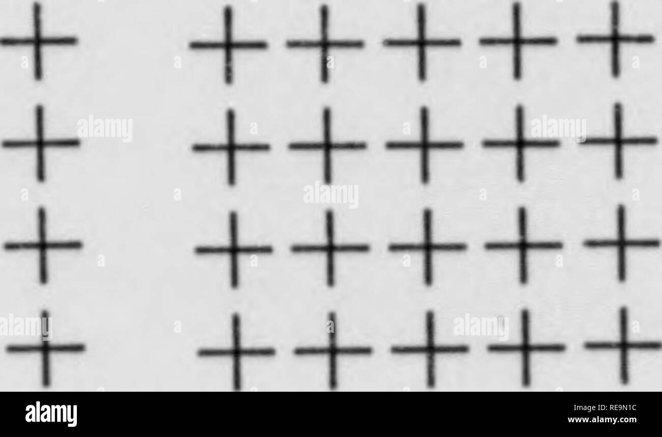 Cyclohexanol Structure