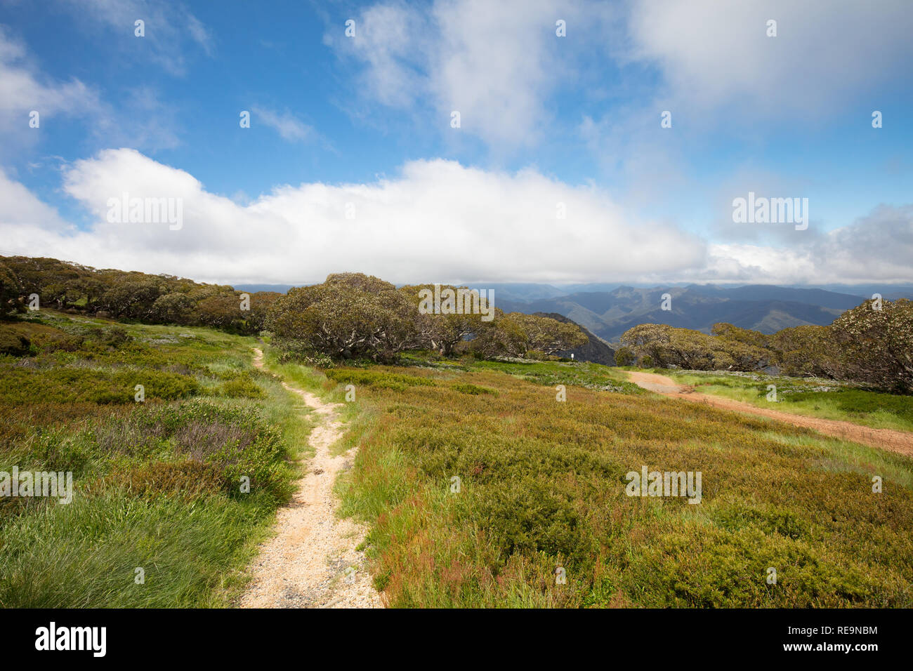 Mount Buller walking and biking trails during summer in Victoria ...