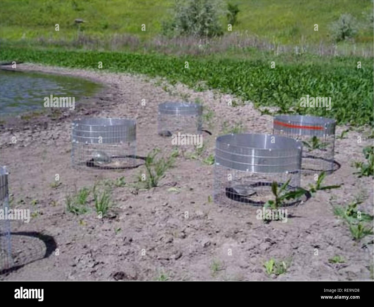 Population fragmentation hi-res stock photography and images - Alamy