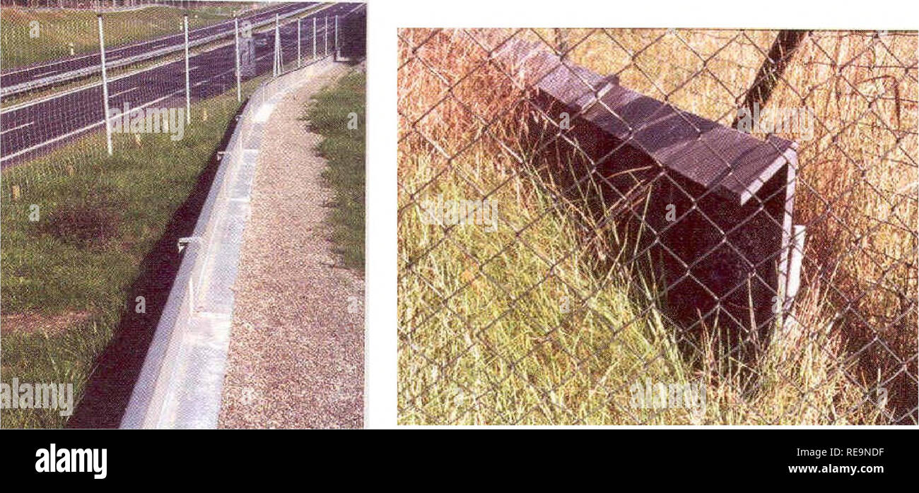 Habitat fragmentation roads hi-res stock photography and images - Alamy