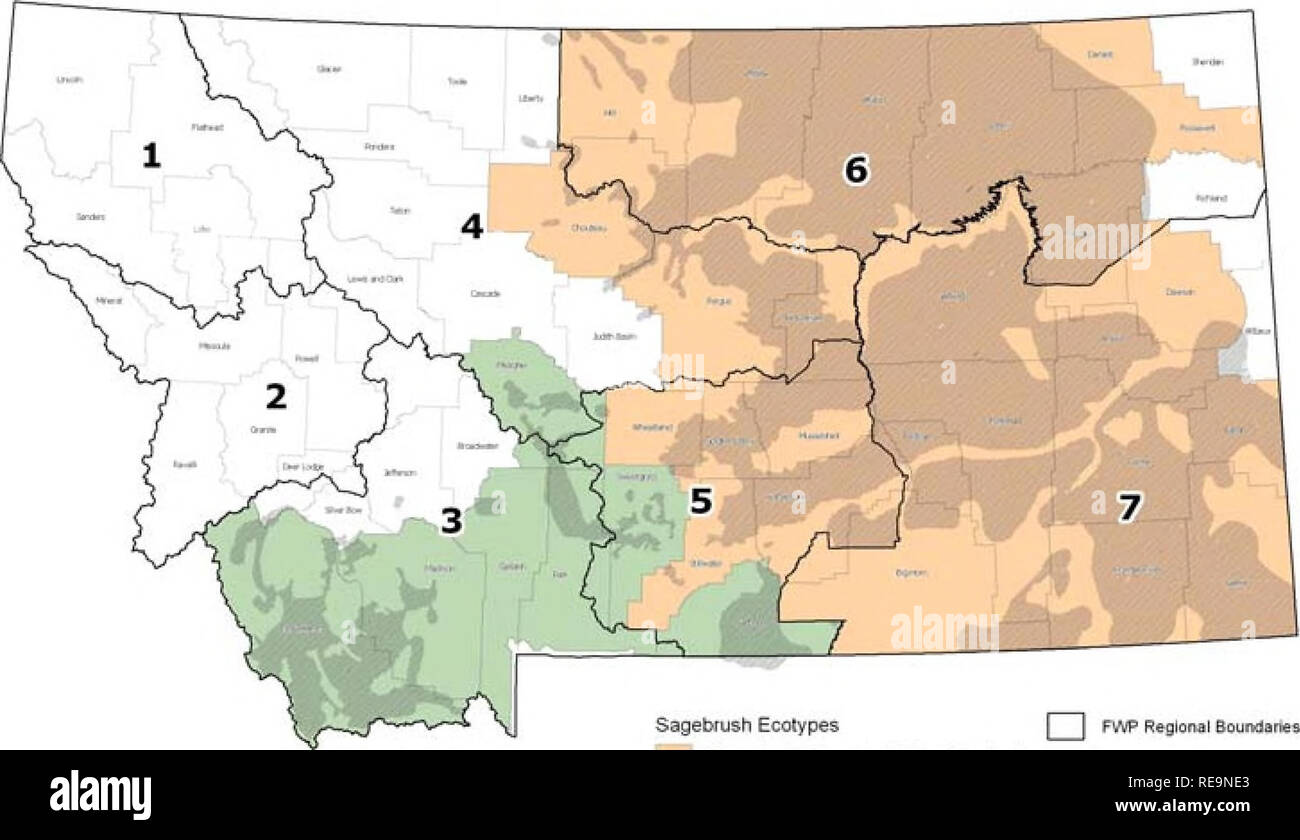 . Management plan and conservation strategies for sage grouse in ...