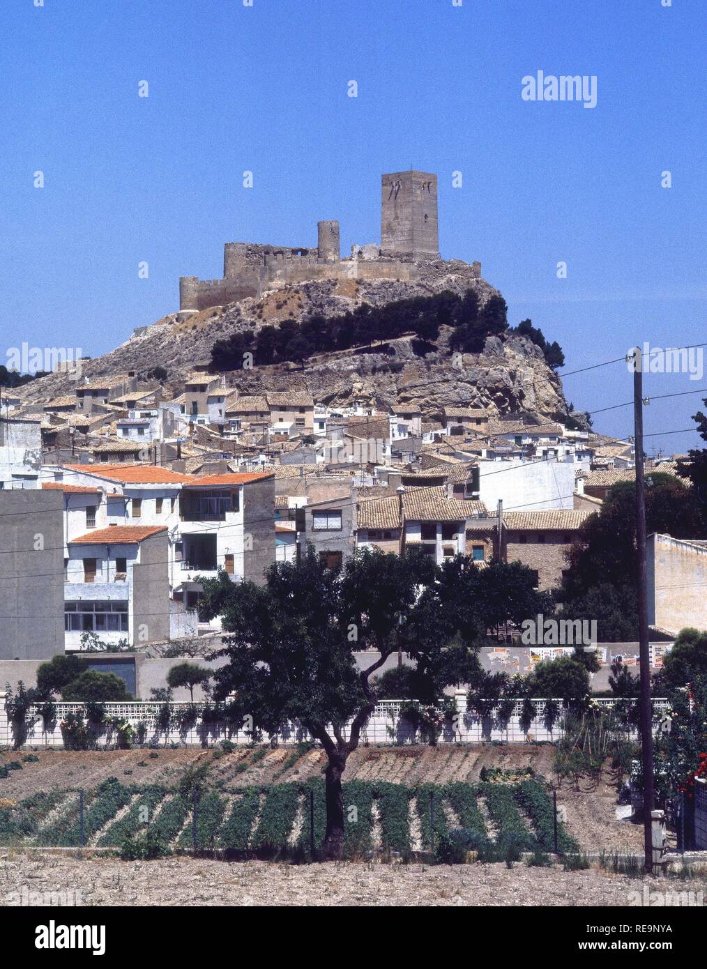 PANORAMICA Y CASTILLO AL FONDO. Location: EXTERIOR. Biar. Alicante ...