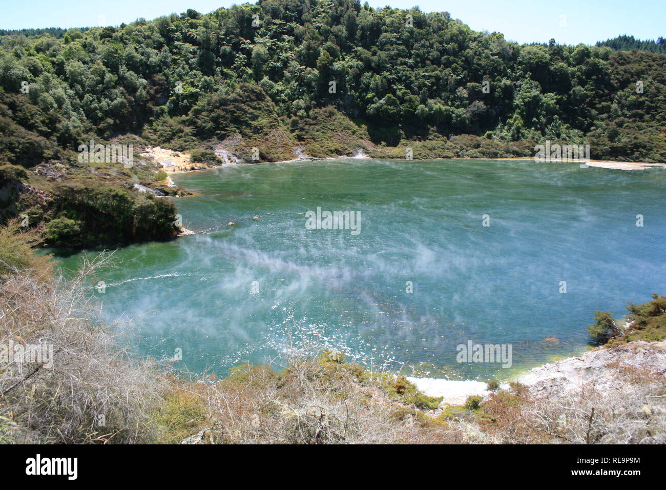 Frying Pan Lake Waimangu Neuseeland Stock Photo - Alamy