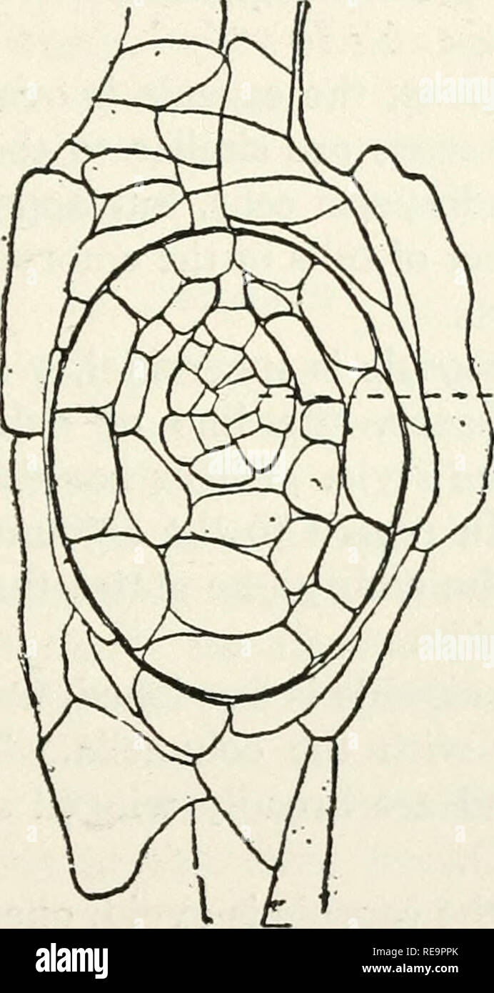 . Contributions from the Botanical Laboratory of the University of ...