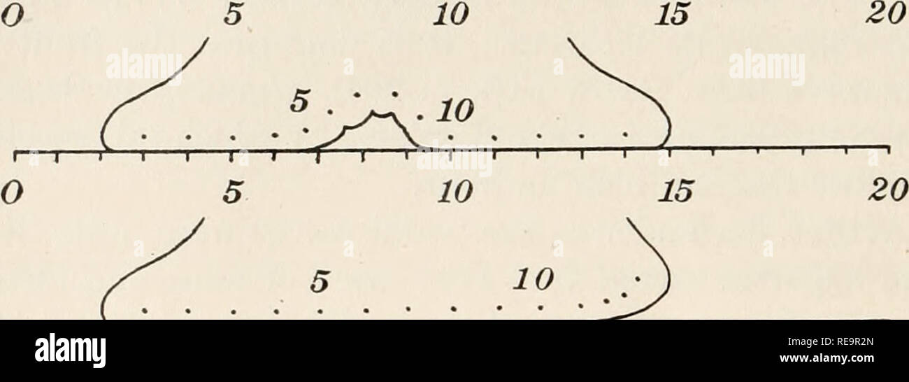 10 foot waves hi-res stock photography and images - Alamy