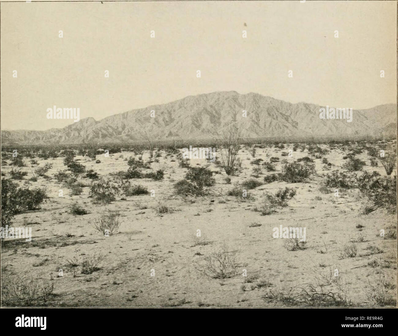 Irregular rainfall hi-res stock photography and images - Alamy