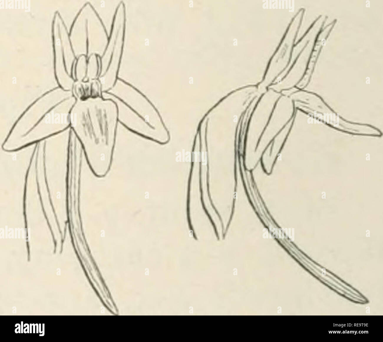 Spécimen de type hi-res stock photography and images - Alamy