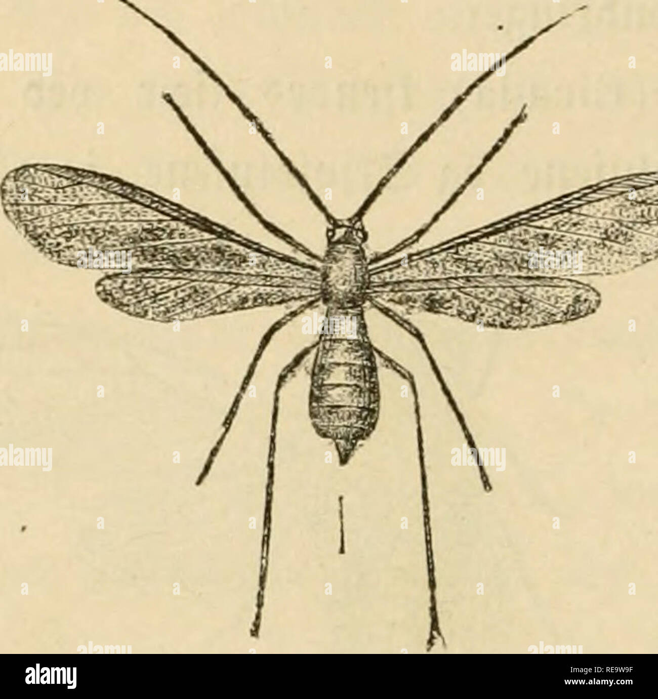 Meb font hi-res stock photography and images - Alamy