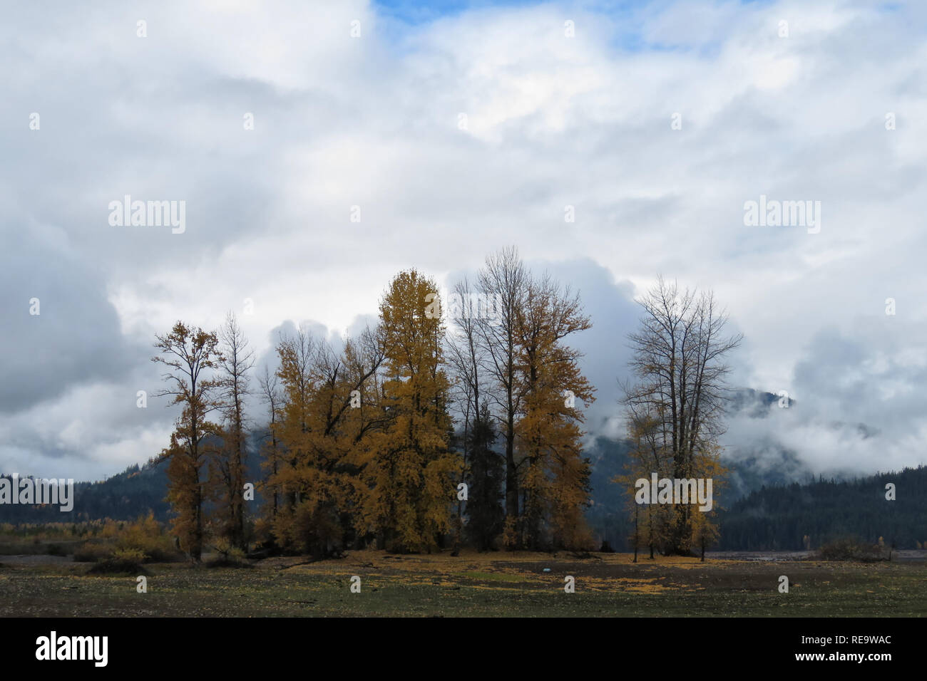 Lake kachess hi-res stock photography and images - Alamy