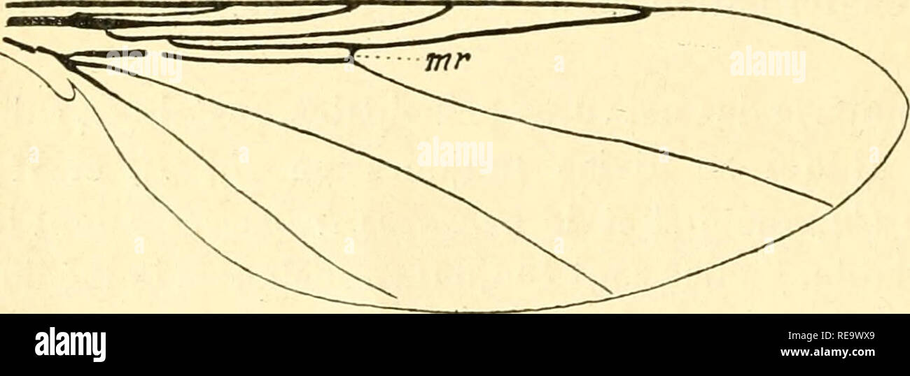 Diane leach hi-res stock photography and images - Alamy