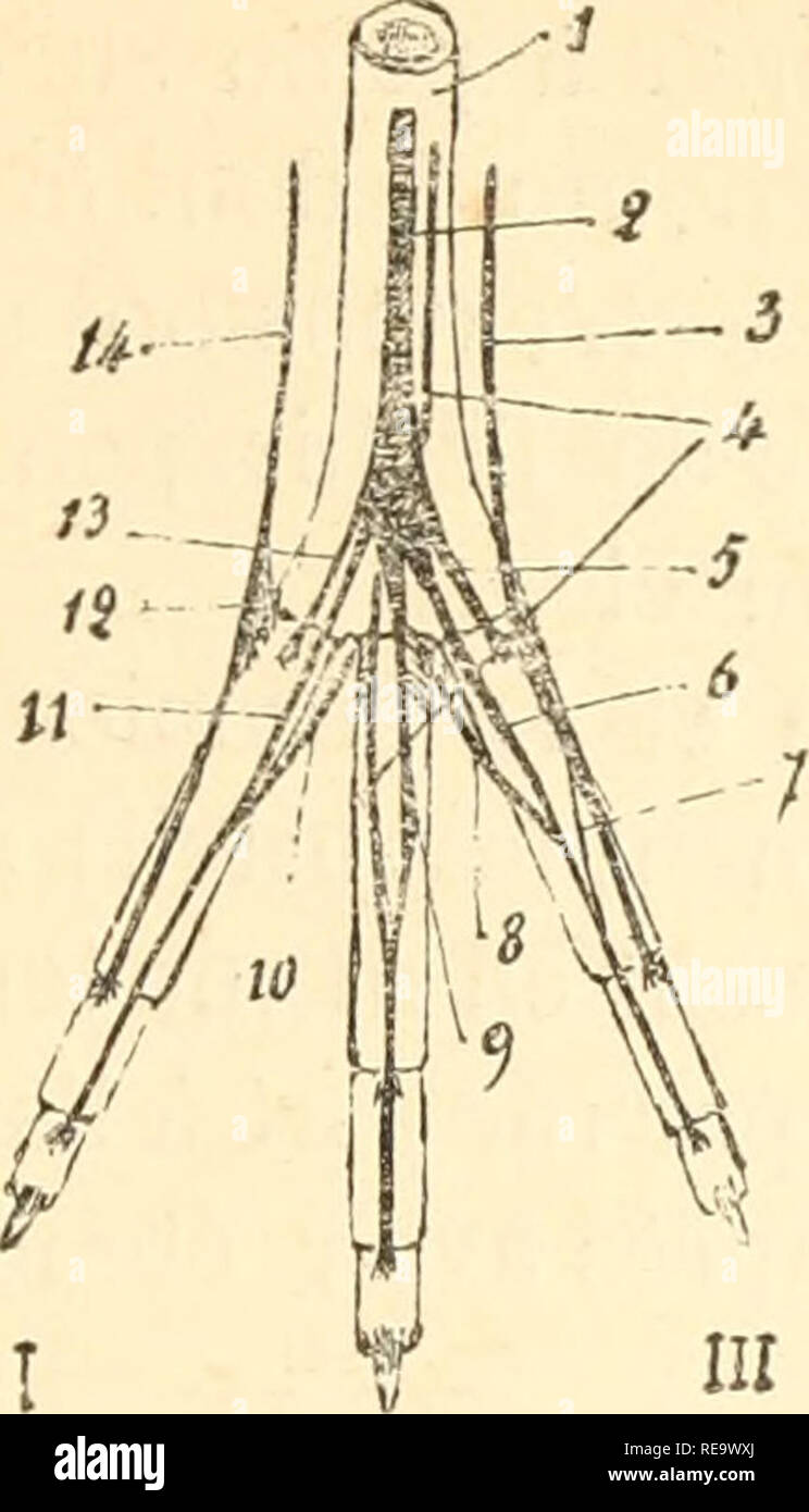 6 doigts hi-res stock photography and images - Alamy