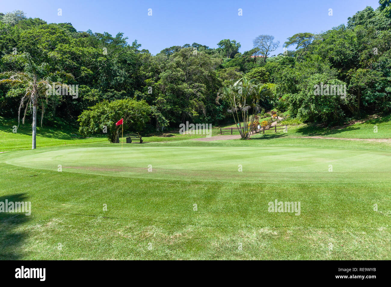 Golf course hole green dogleg trees scenic summer coastal course Stock ...