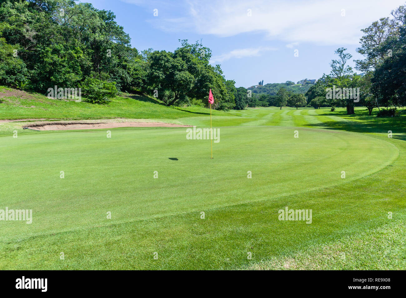 Golf course hole green dogleg trees scenic summer coastal course Stock ...