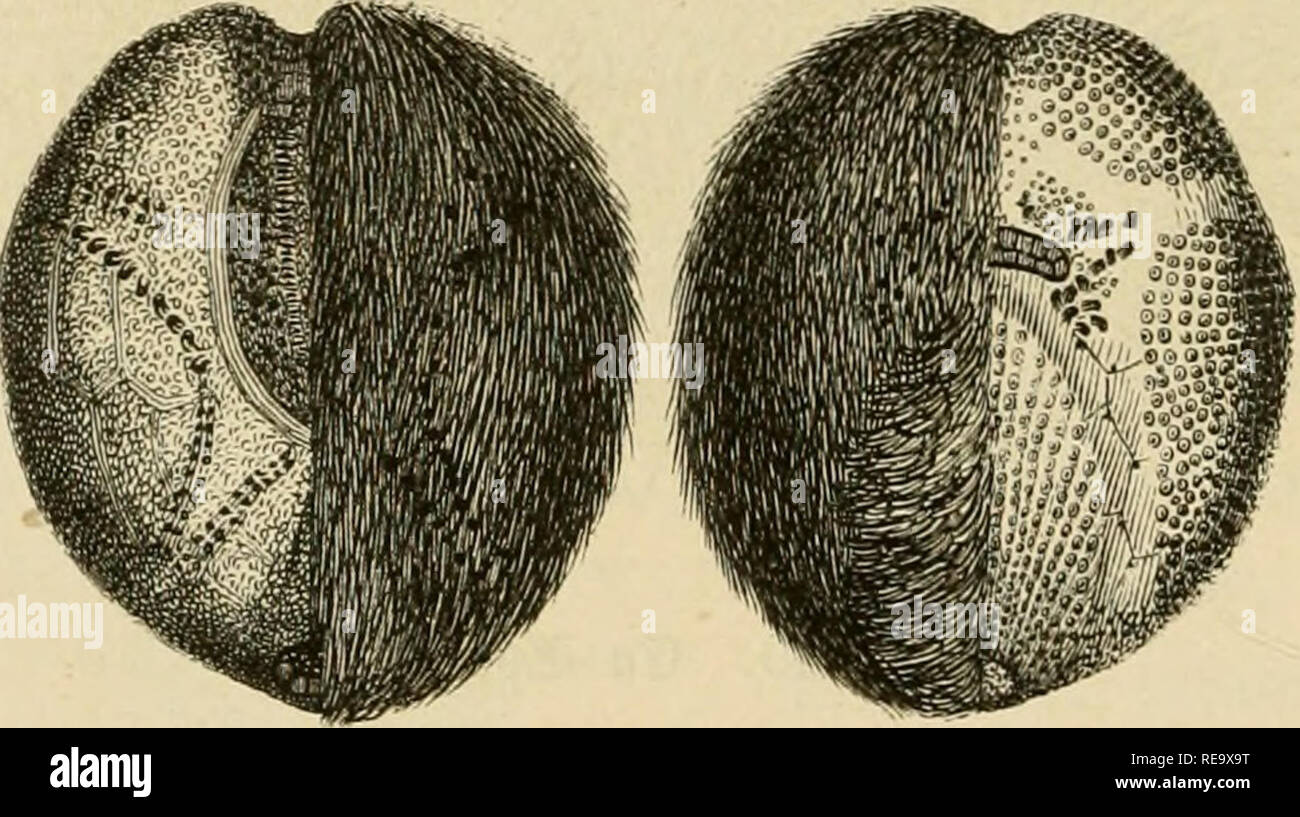 Meb font hi-res stock photography and images - Alamy