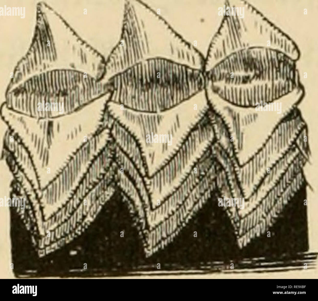 Oeb font hi-res stock photography and images - Alamy