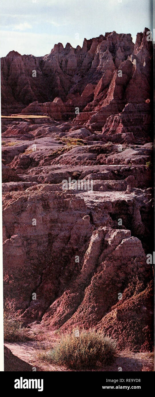 Plateau Geography Plateau | Definition, Characteristics, Types
