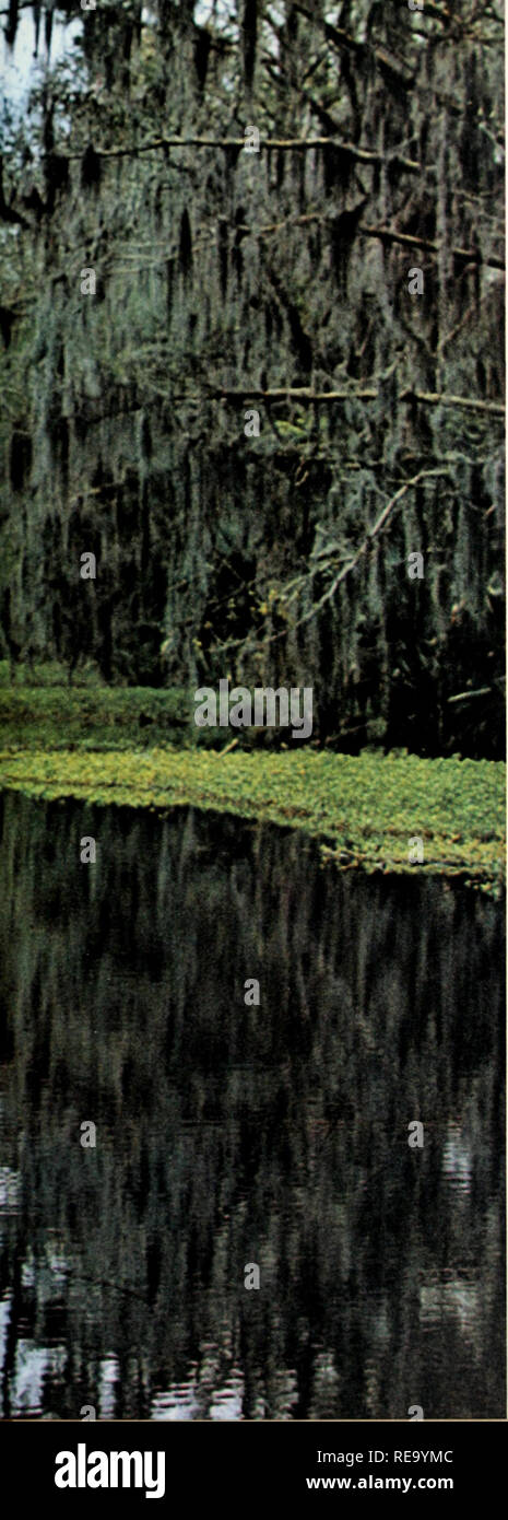 Geography of appalachia hi-res stock photography and images - Alamy