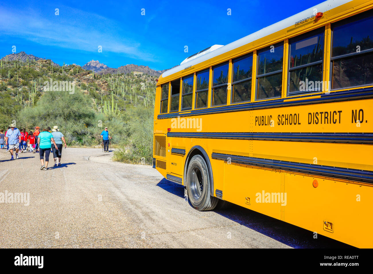 A yellow school bus delivers and waits for children enjoying a hike in ...