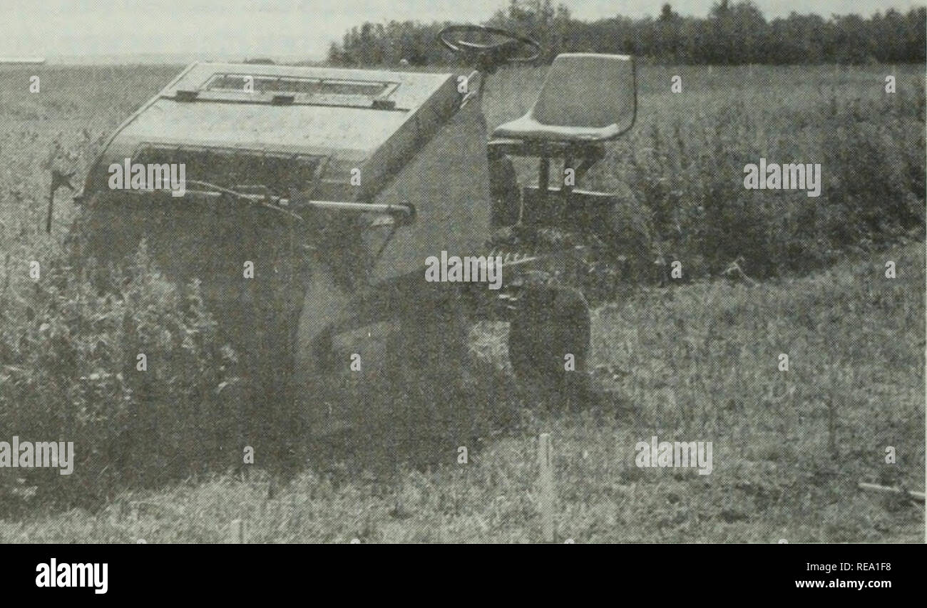 . Construction details of a large forage plot harvester for cleanup and ...