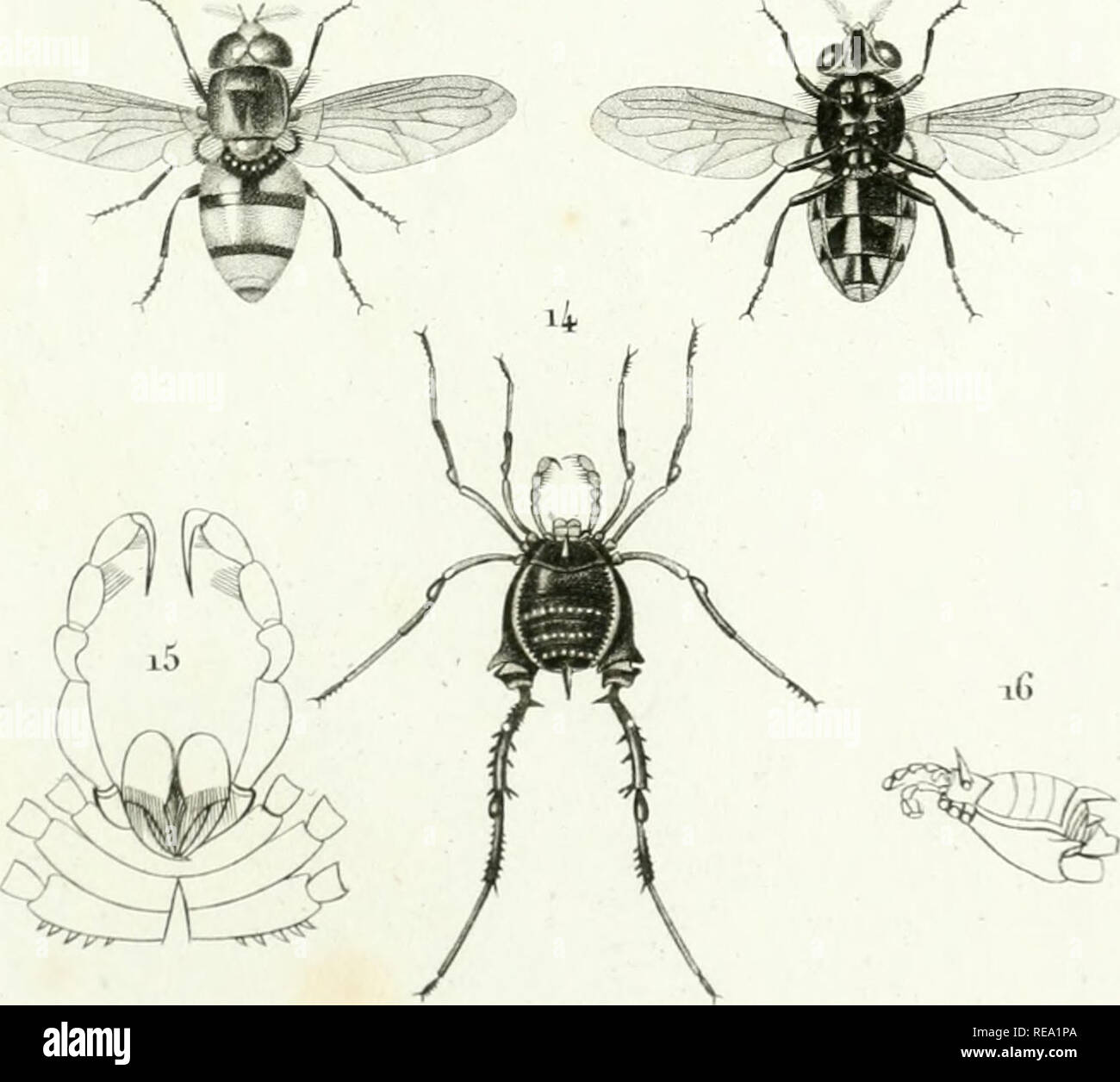 Nue nu hi hi-res stock photography and images - Alamy