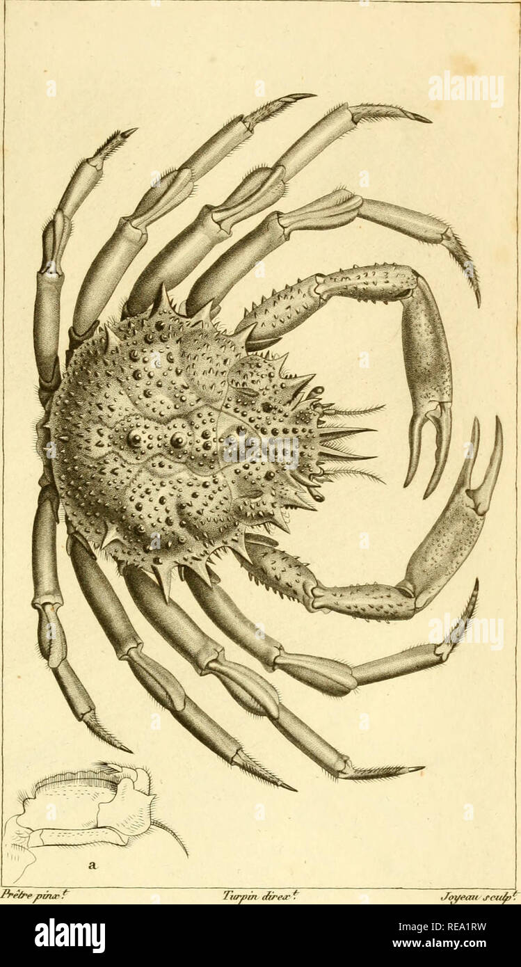 Ft maia hi-res stock photography and images - Alamy