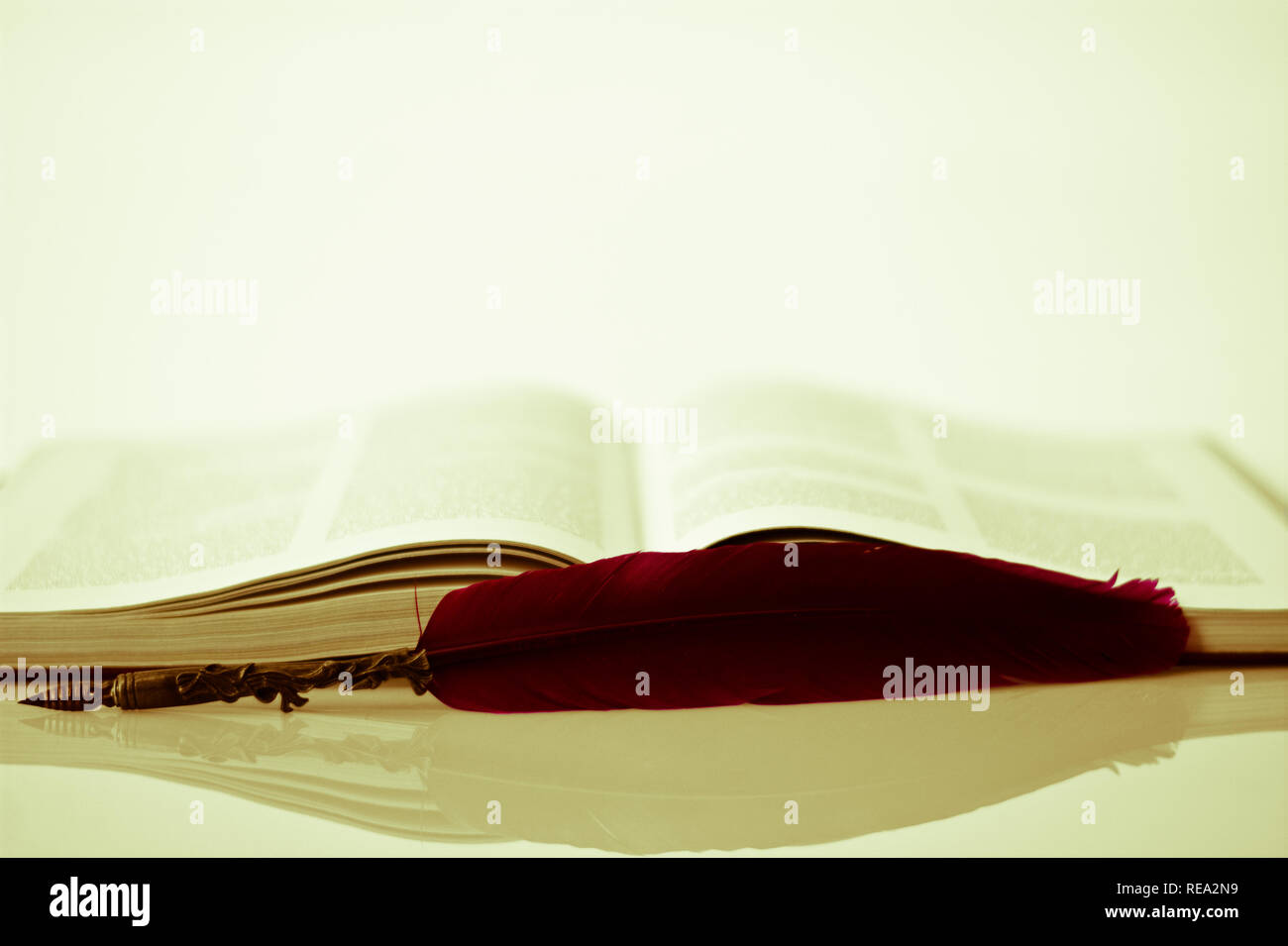 an open book Stock Photo - Alamy