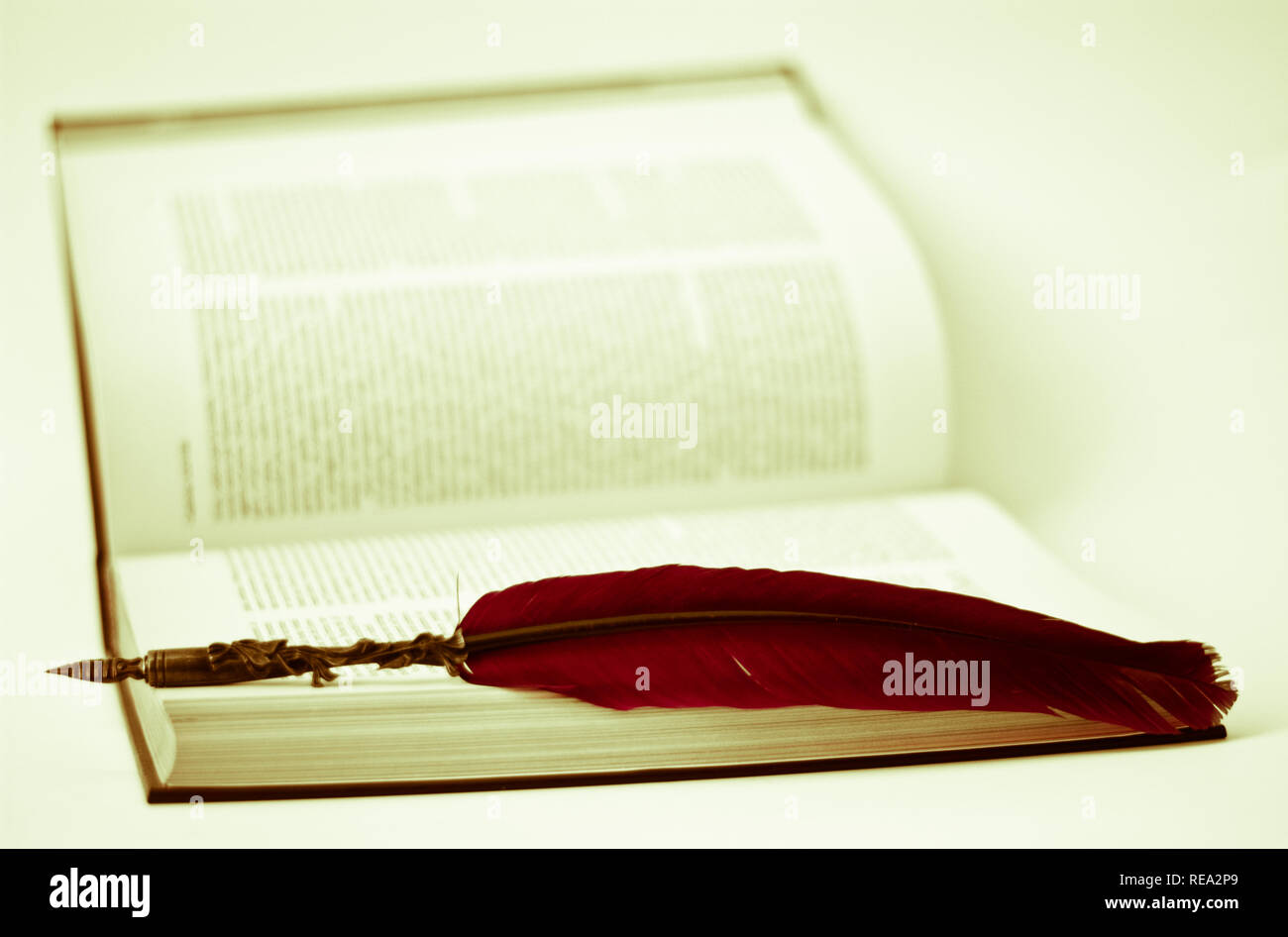 an open book Stock Photo - Alamy