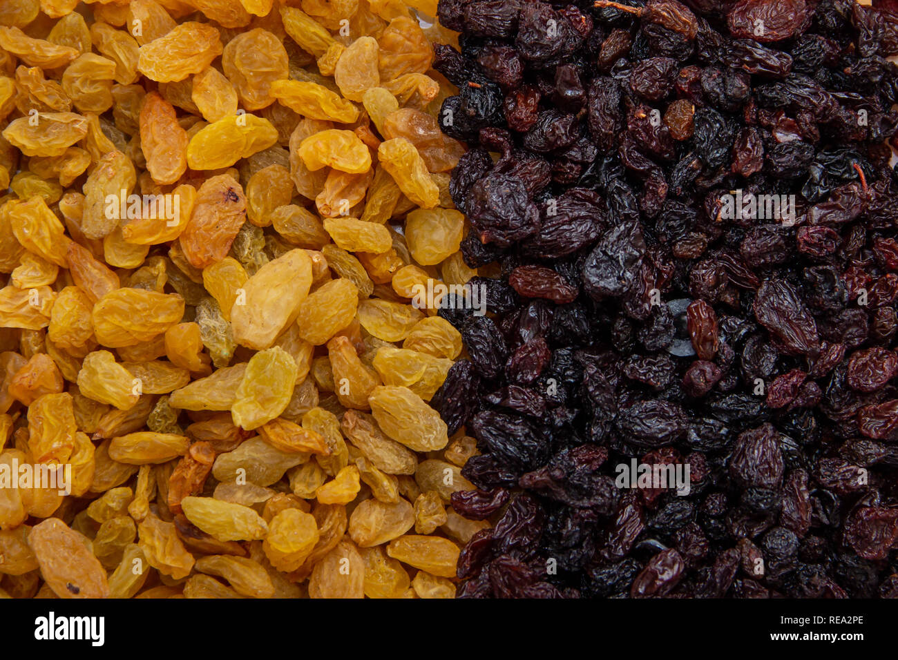Abundance of raisins, yellow and red dried grapes, vegetarianism and ...