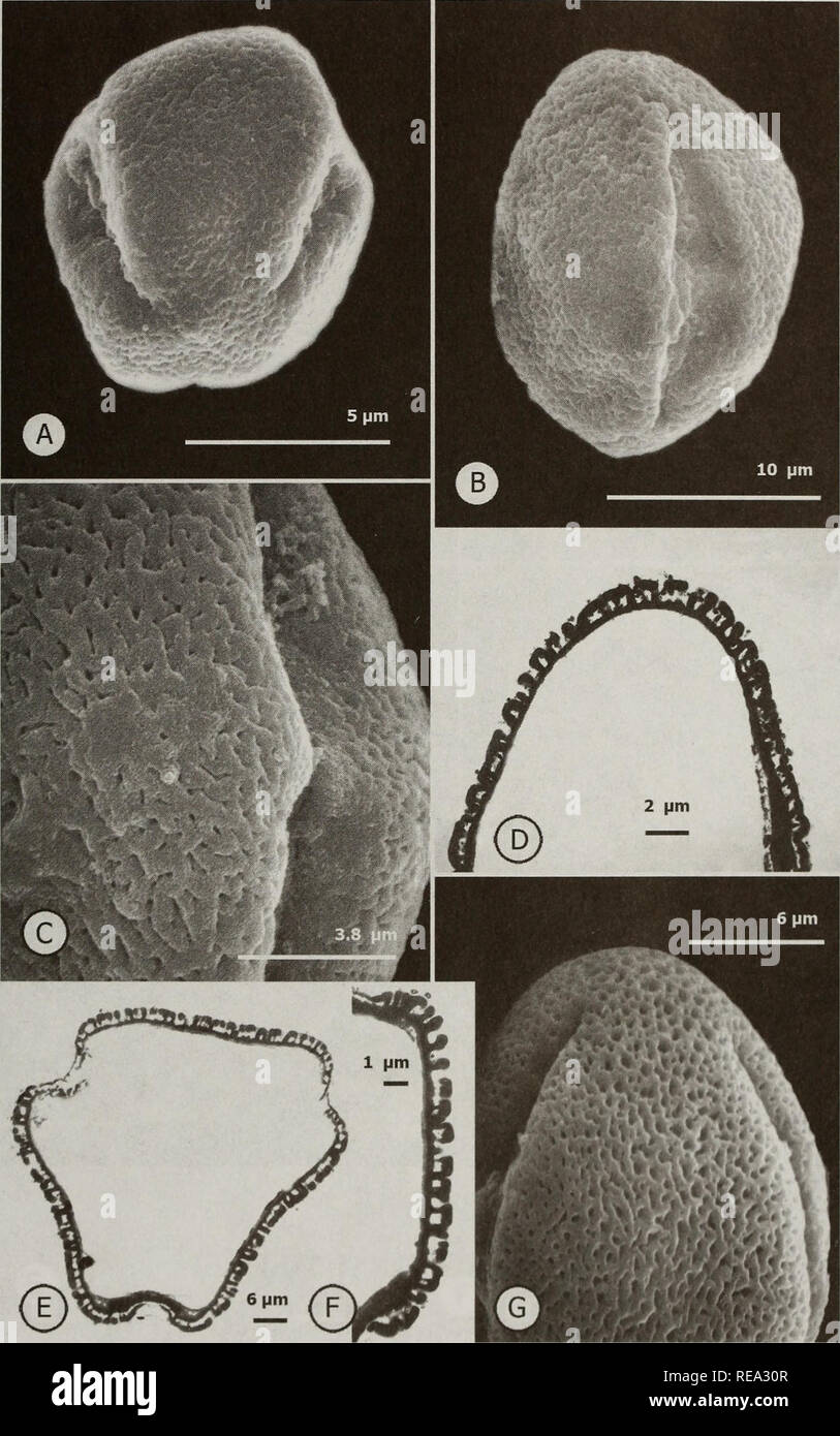 . Contributions from the United States National Herbarium. Botany ...