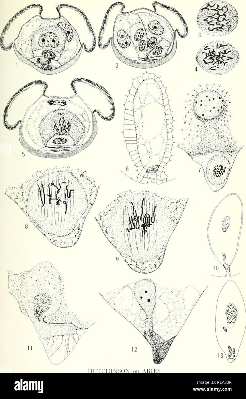 . Contributions from the Hull Botanical Laboratory. Plants. BOTANICAL ...