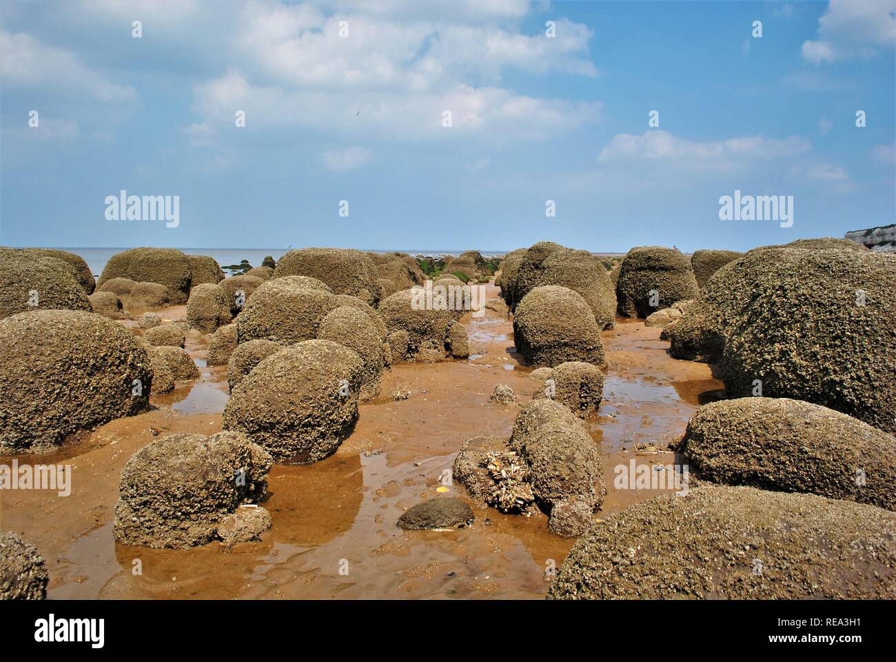 Eroded platform rock formation at Hunstanton chalk cliffs, Norfolk ...
