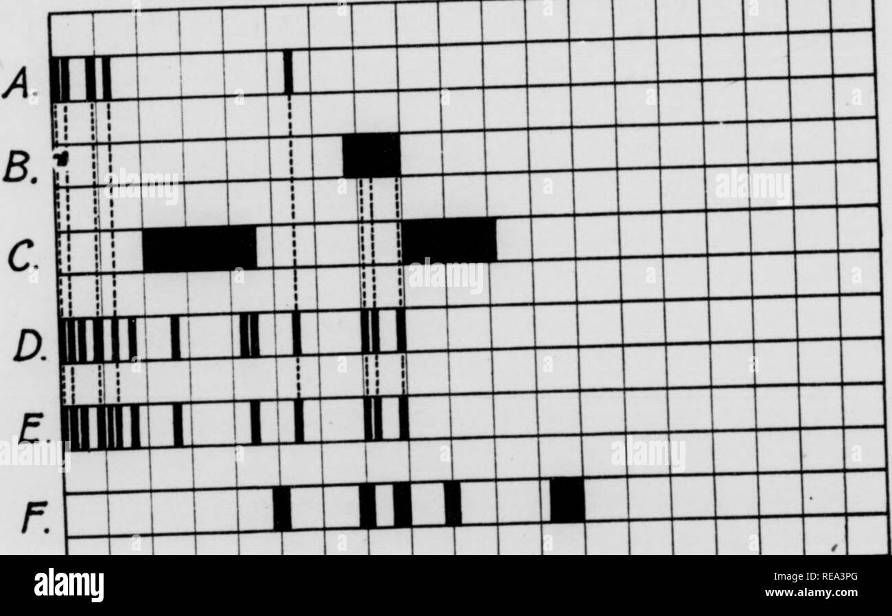 Spectrographic analysis hi-res stock photography and images - Alamy