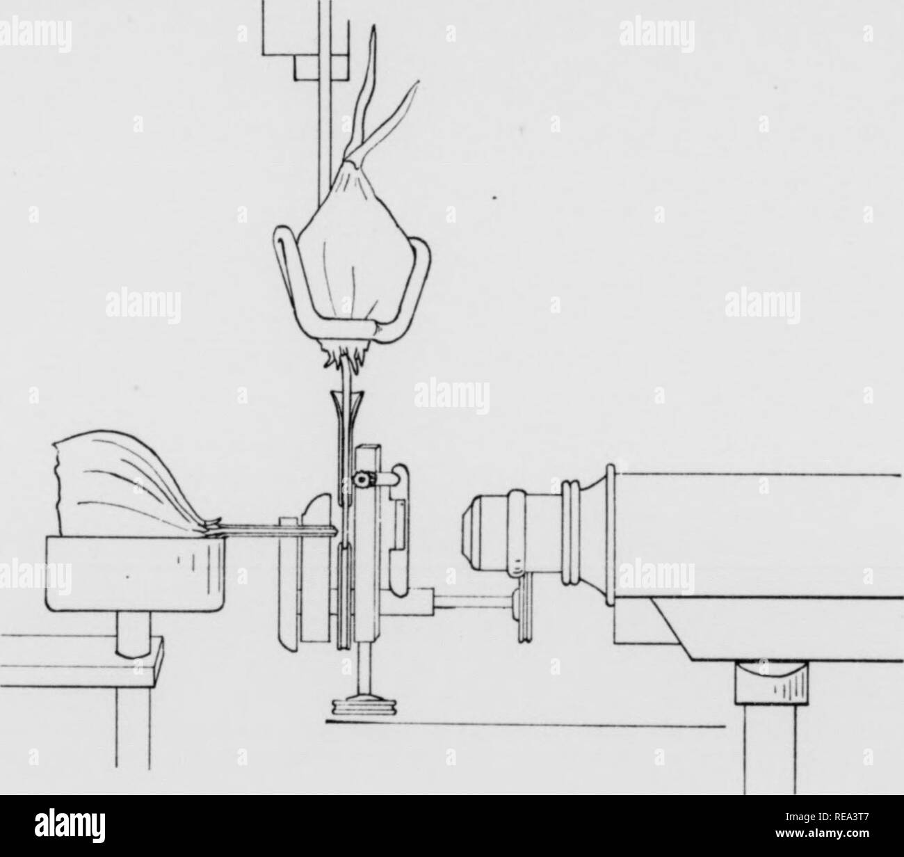 Histologist hi-res stock photography and images - Alamy