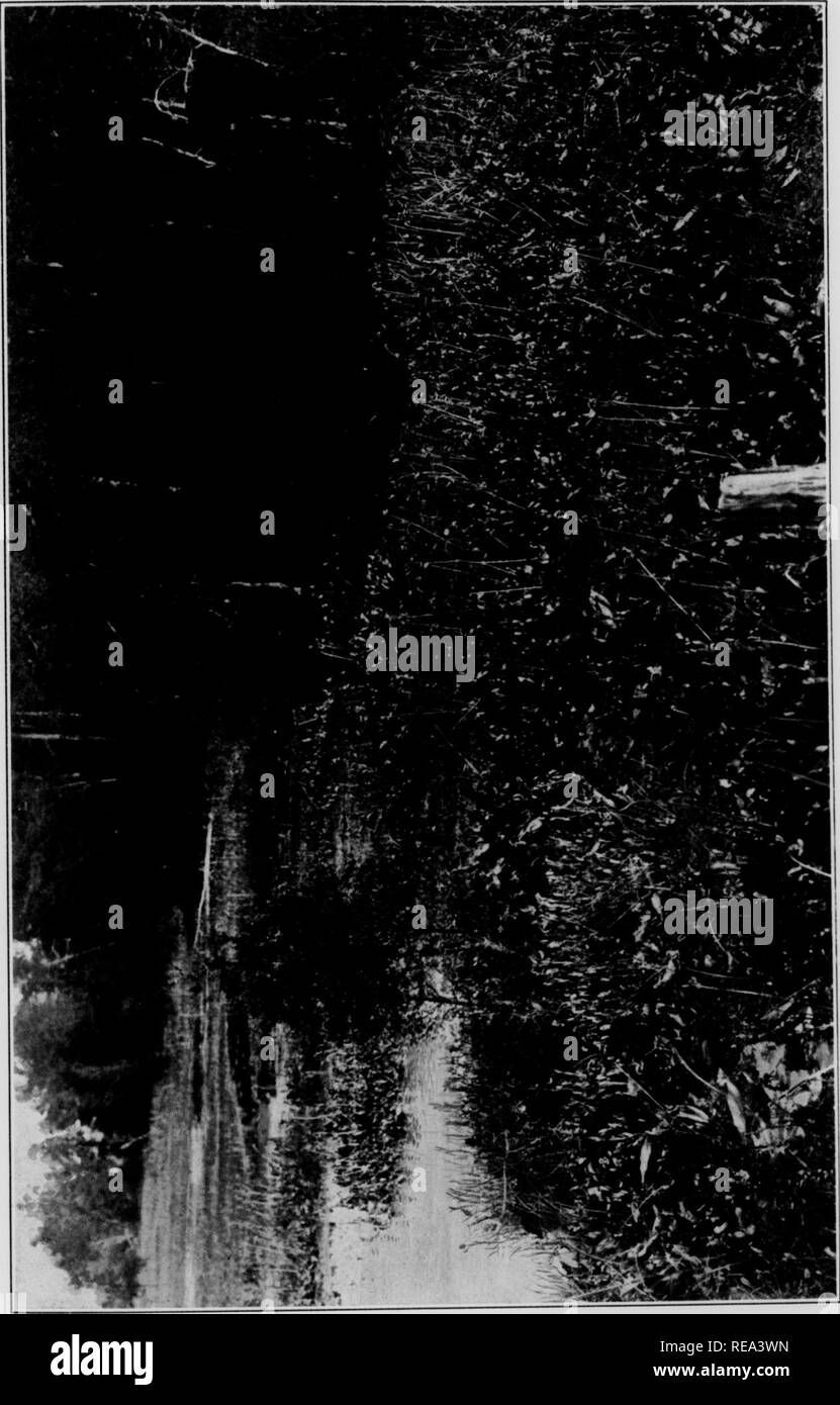 Tom's seat Black and White Stock Photos & Images - Alamy