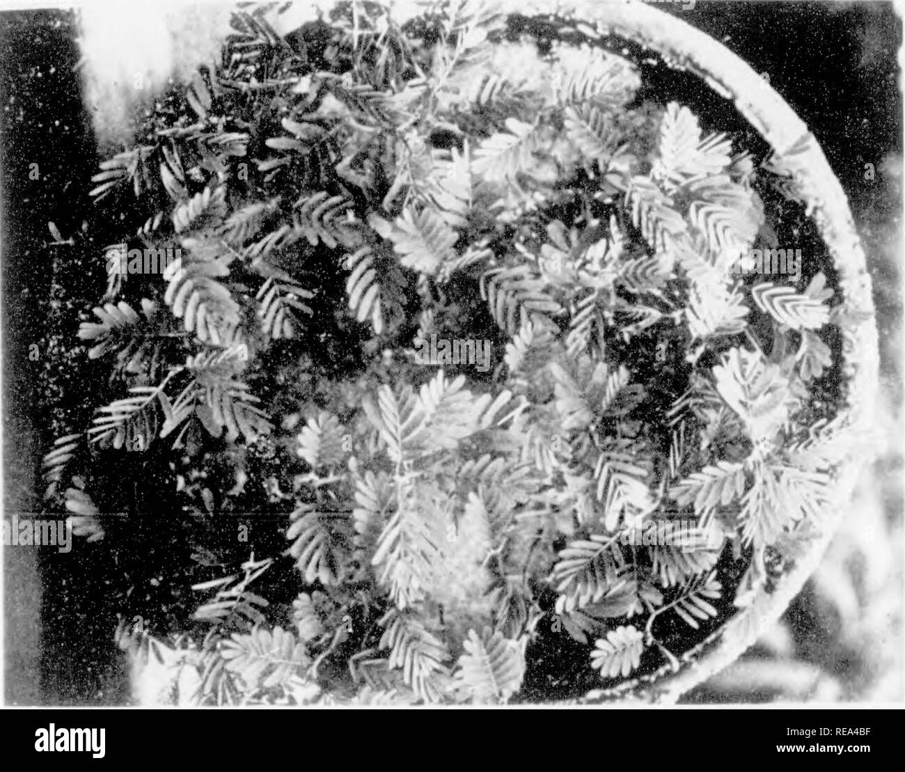 Mac miller Black and White Stock Photos & Images - Alamy