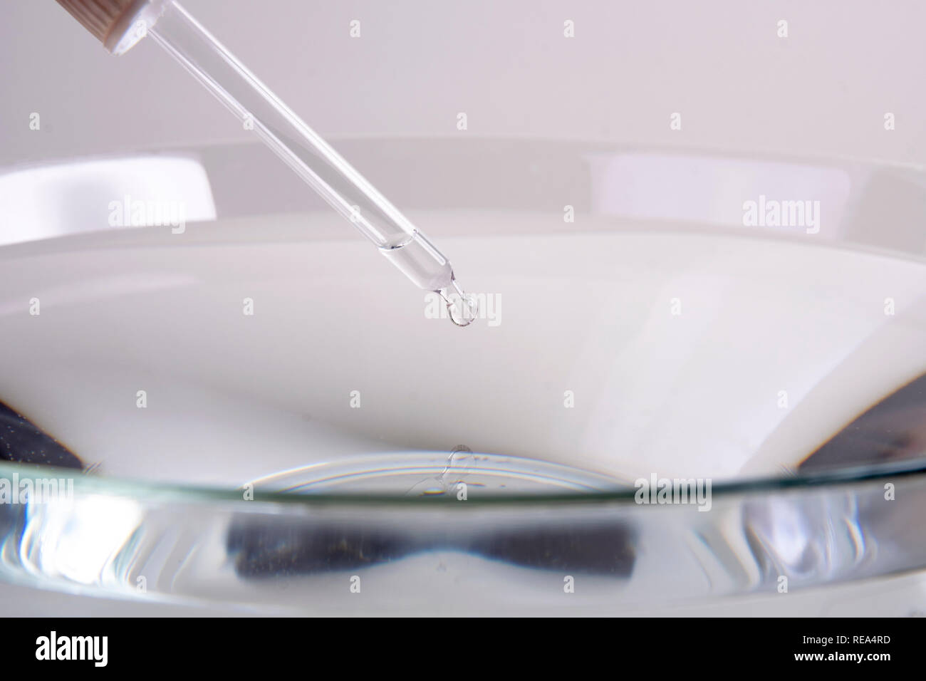 Pipette drops a drop into the water of a large bowl Stock Photo - Alamy