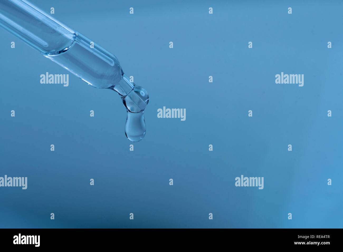 one drop water out of a pipette against blue background Stock Photo - Alamy