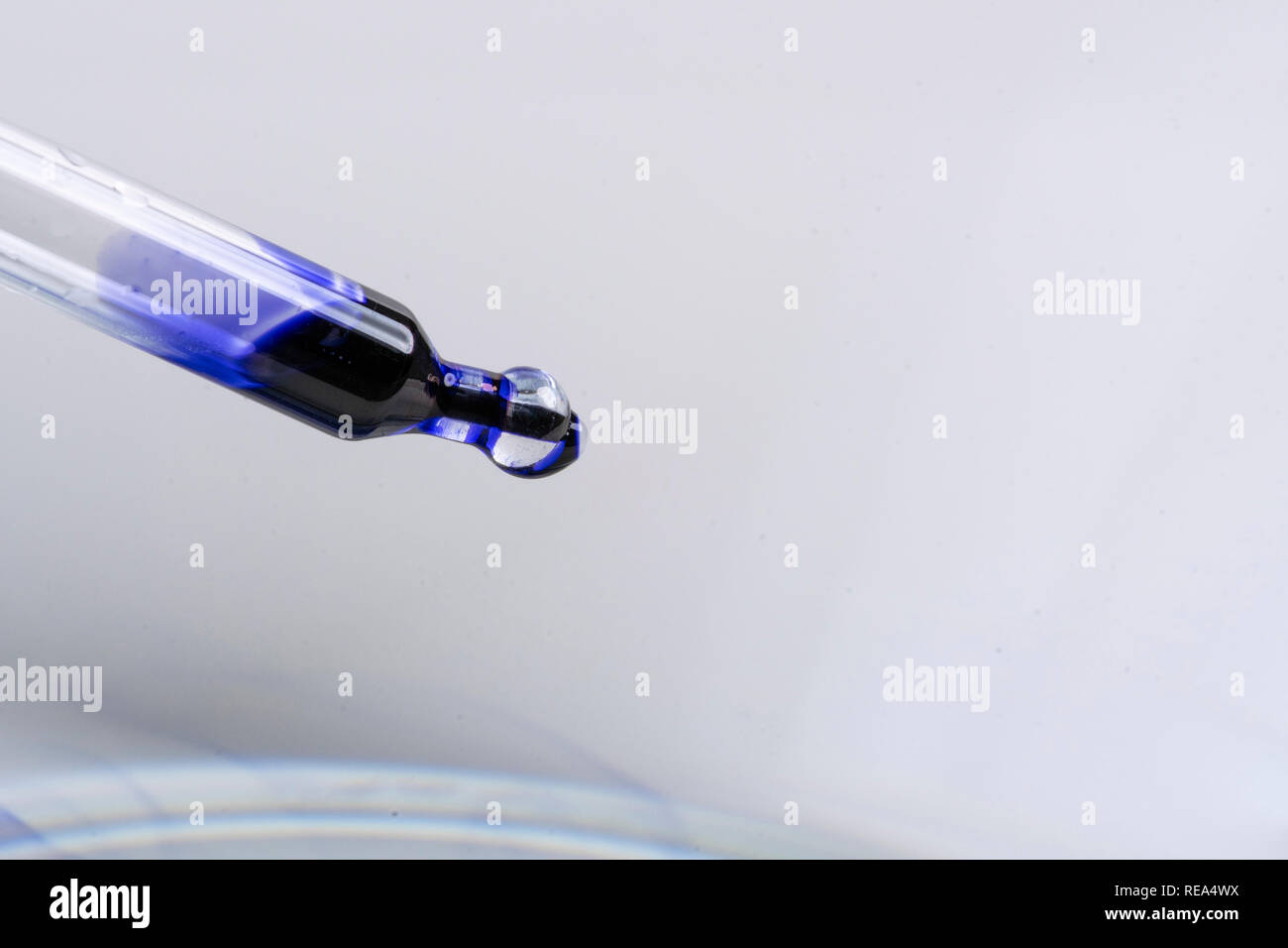 blue ink dripping on a water surface with small waves Stock Photo - Alamy