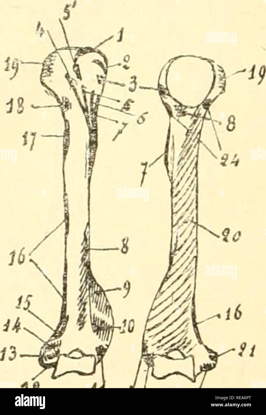 53 doigts hi-res stock photography and images - Alamy