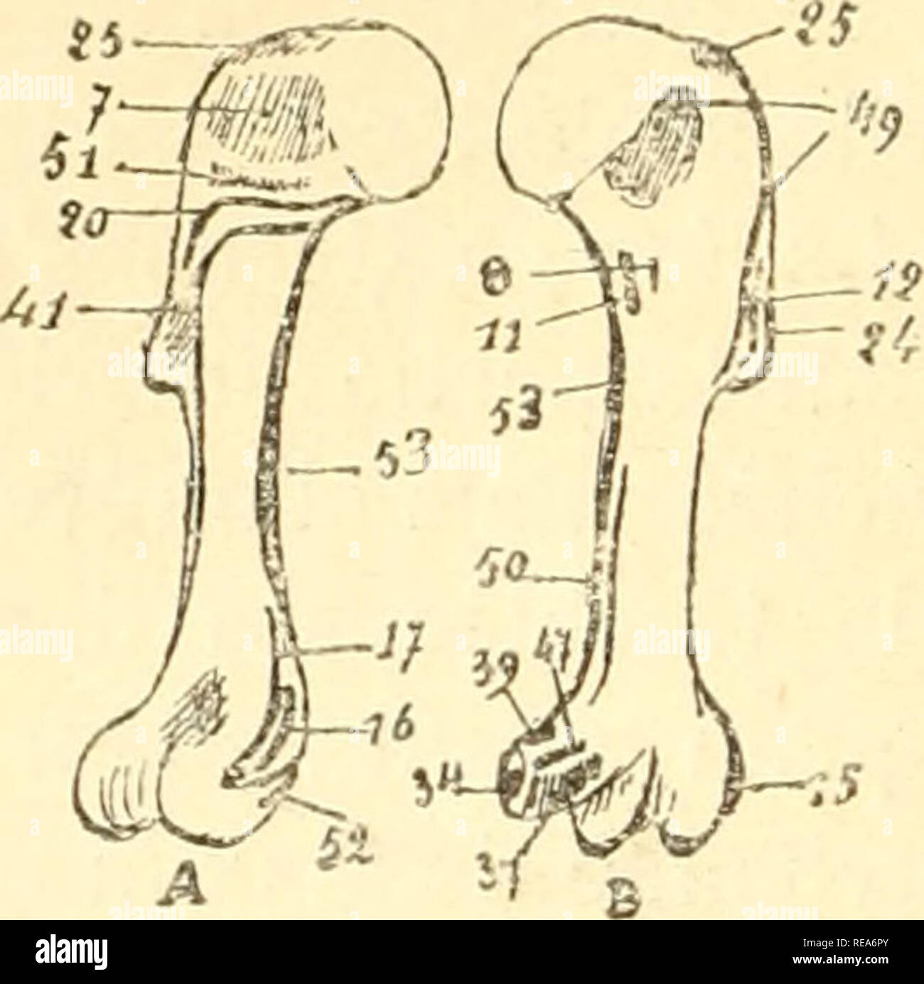 Delto hi-res stock photography and images - Alamy