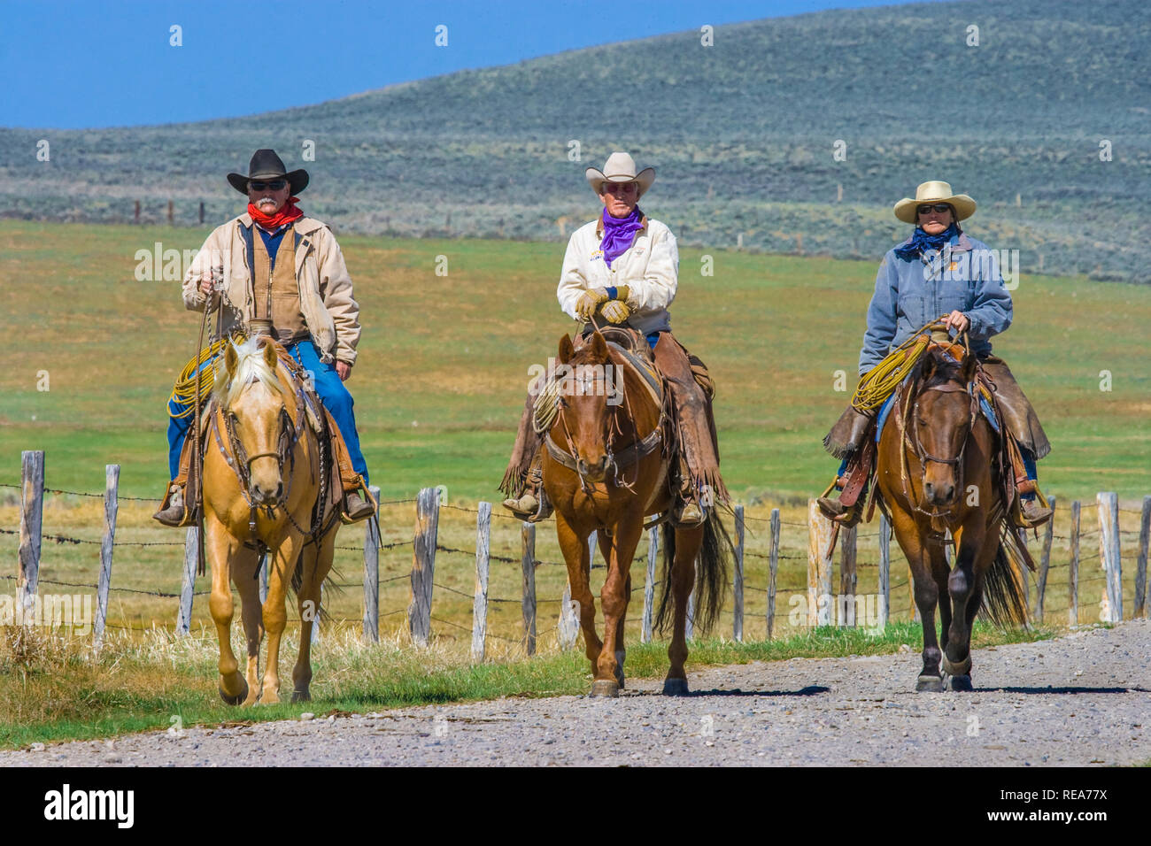 Open ranch land along hi-res stock photography and images - Alamy