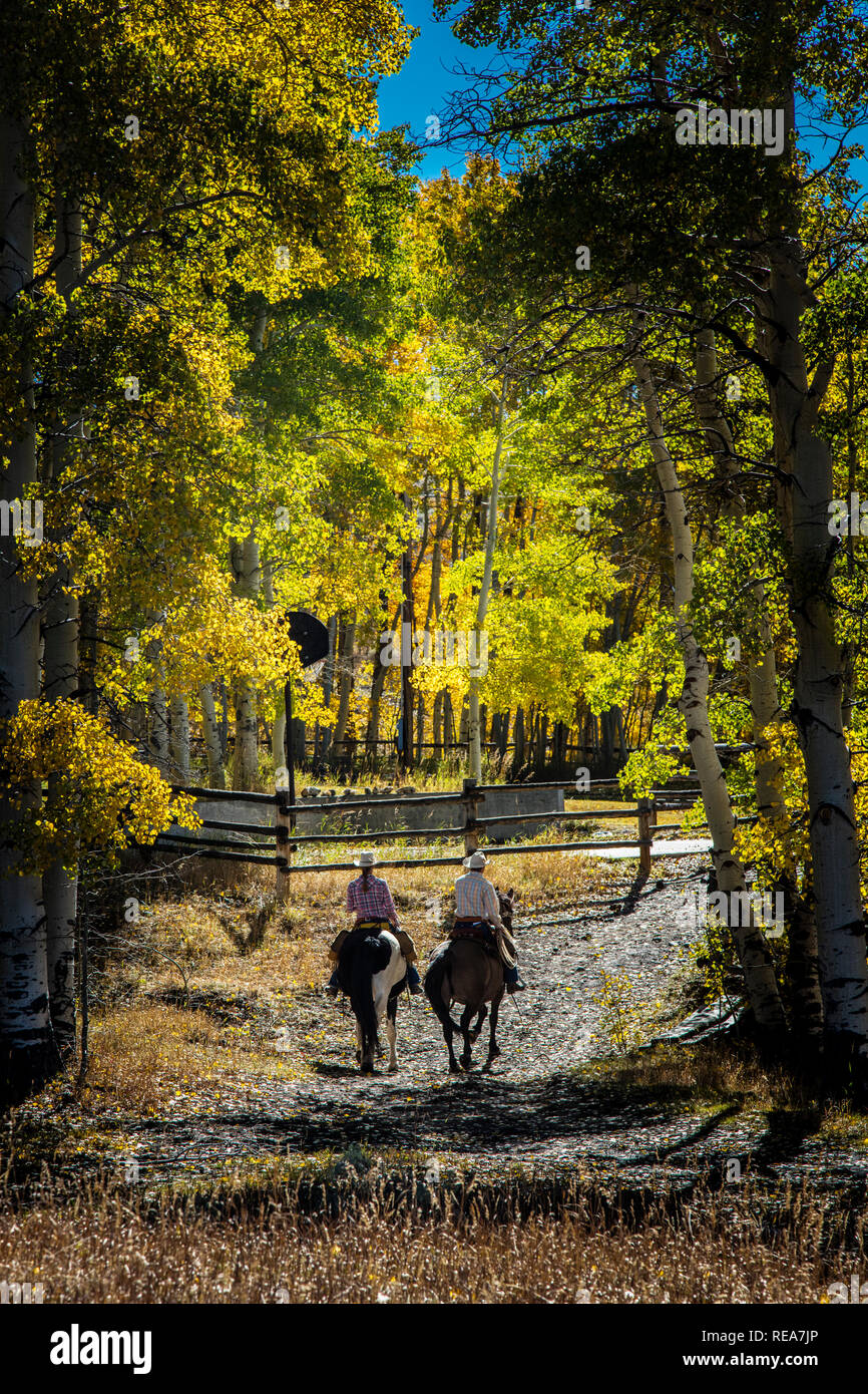 Cowboys riding the range hi-res stock photography and images - Alamy