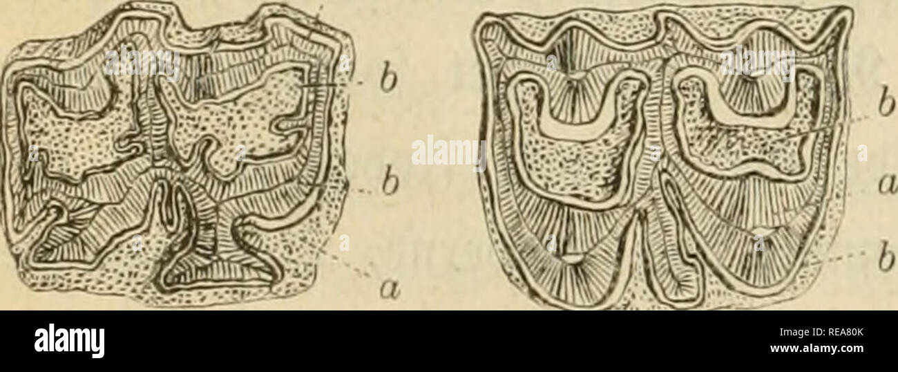 Meb font hi-res stock photography and images - Alamy