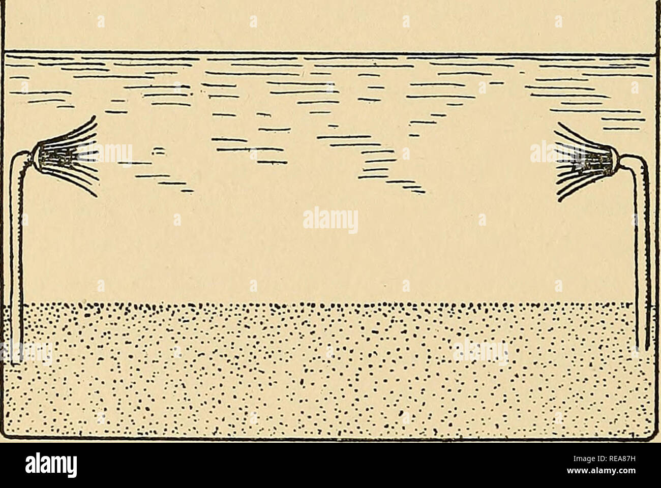. The dynamics of living matter. Biochemistry; Reproduction ...